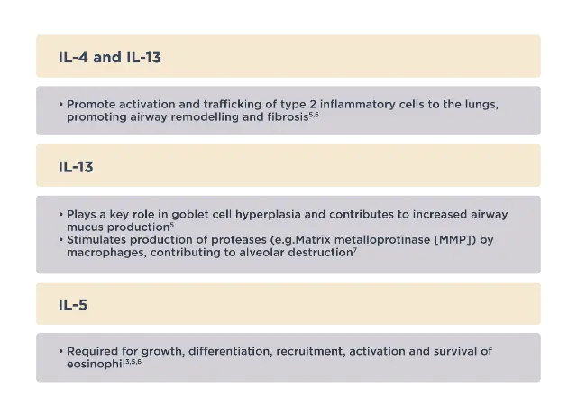 Inflammatory pathways in COPD impacting disease pathobiology and progression | Sanofi Campus